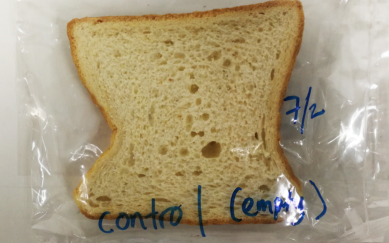 Bread Mould Vs. Preservatives - FBIO